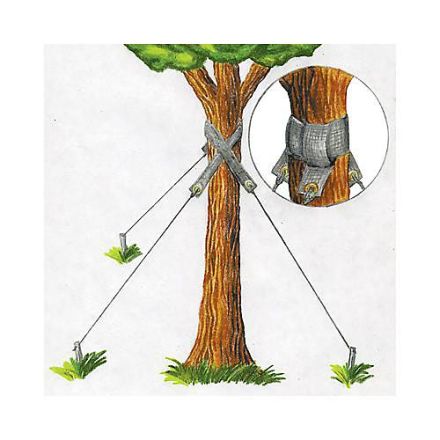 Total Tree Support Kit for 2.5in to 5in Trees